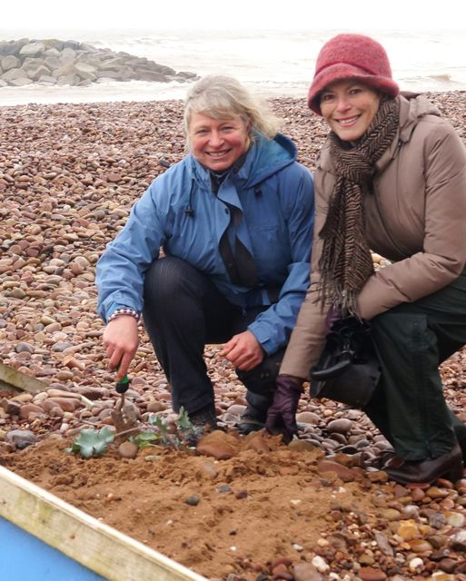 anne-swithinbank-lynette-talbot-web – Vision Group for Sidmouth